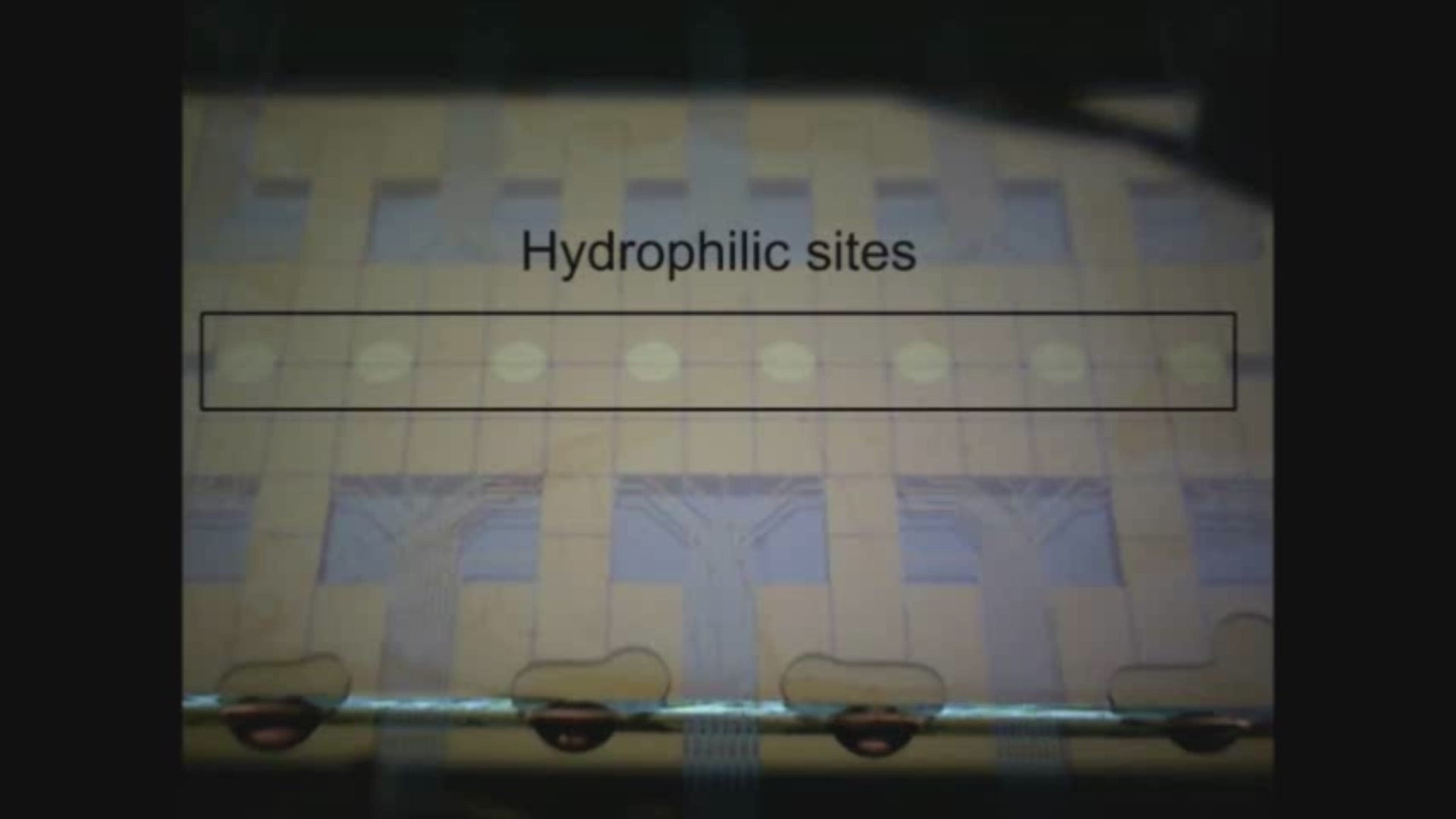 Products – Sci-Bots Inc.